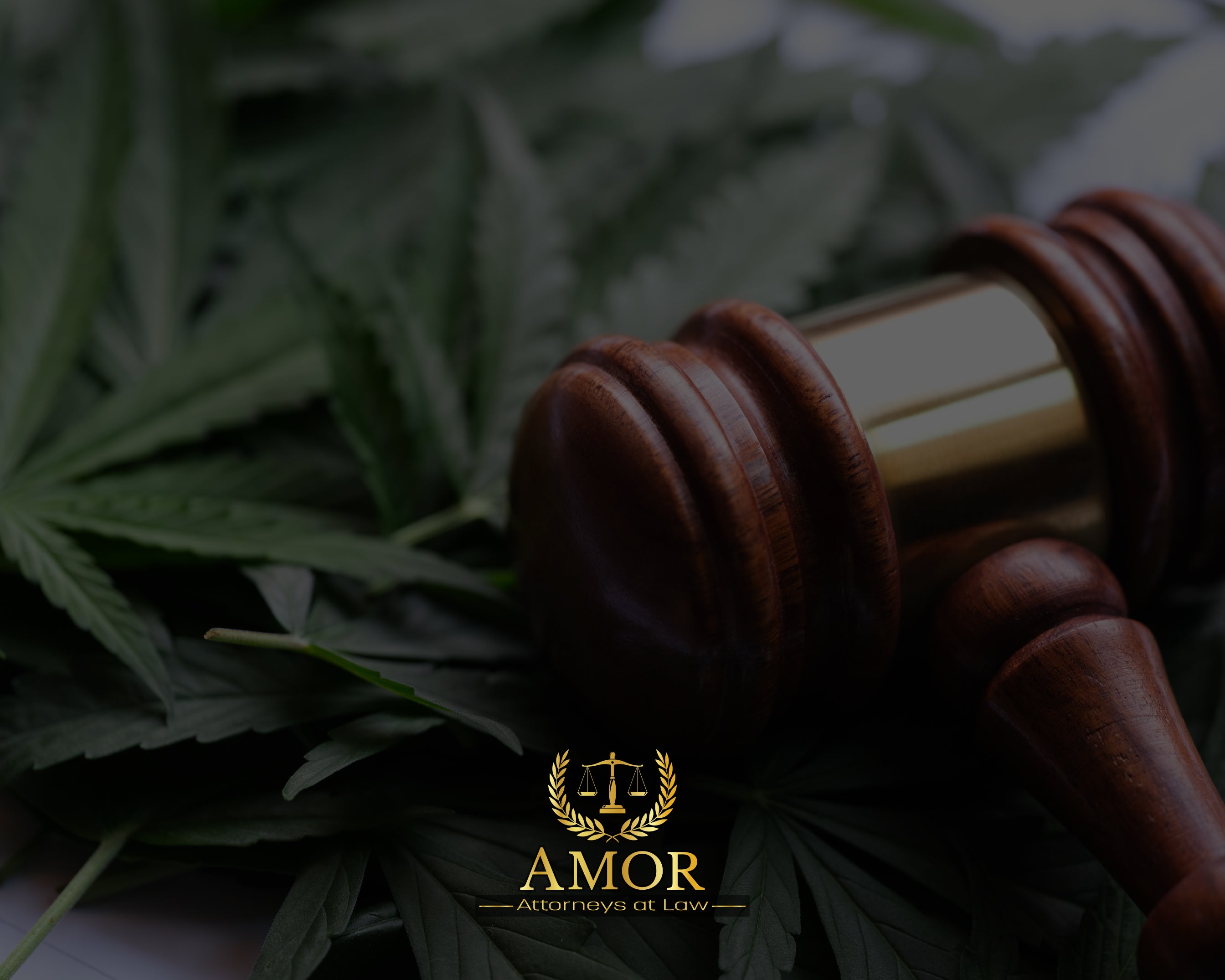 Understanding the Importance of Cannabis and Hemp Laws | Amor Law ...